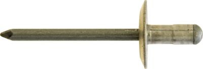 'Everyday' ESSENTIALS Multigrip Rivets - Large Flange