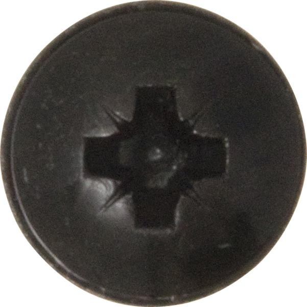 black screw head